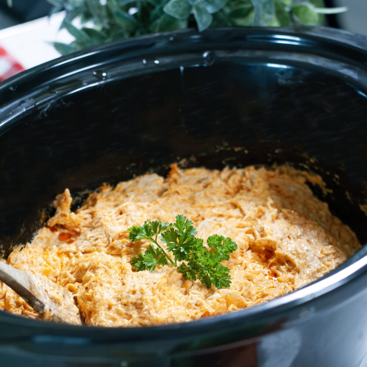 Slow Cooker Buffalo Chicken Dip (with Frank's RedHot) - cookitwithtim.com
